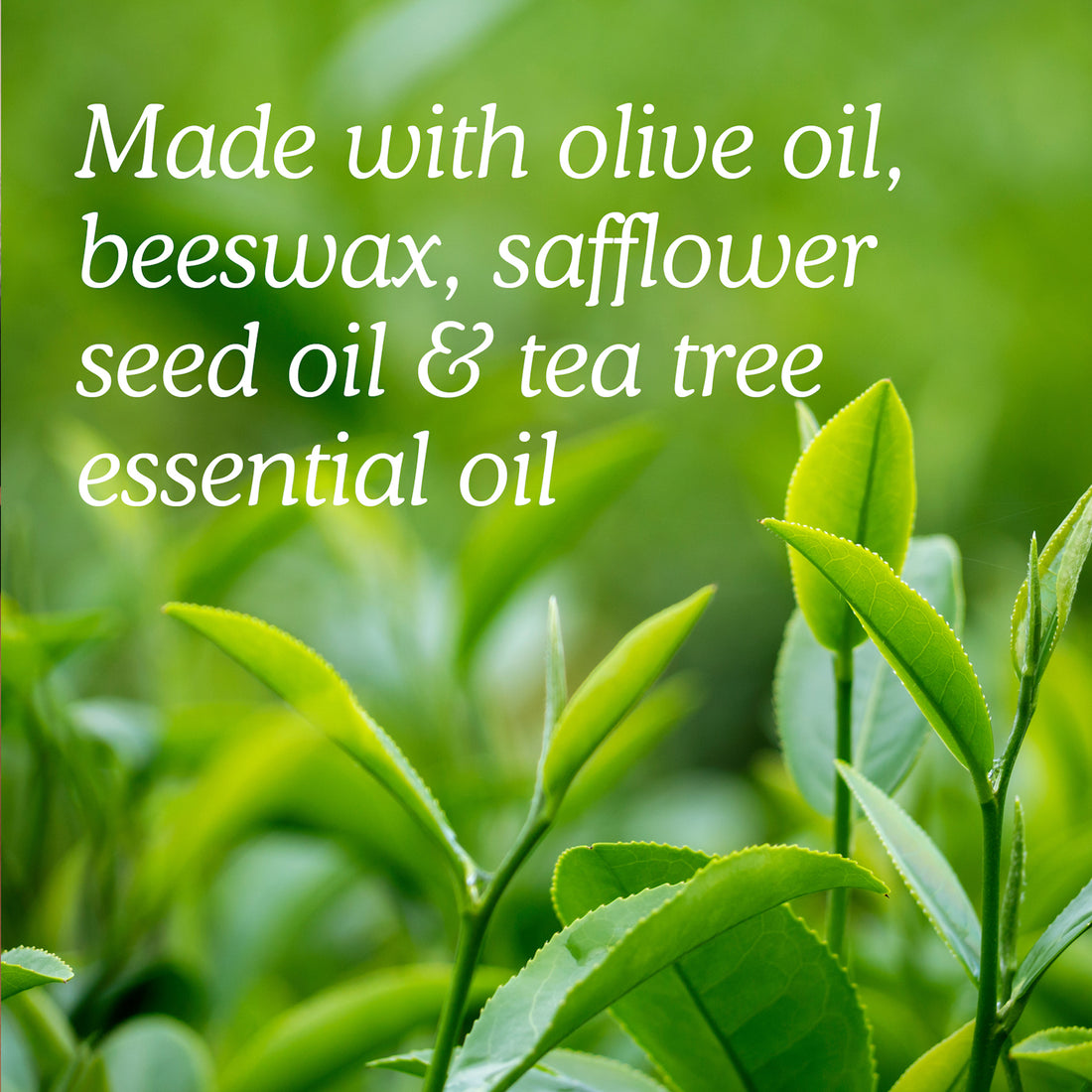 Balmonds Tea Tree Balm - Natural, Traditional All-Purpose Ointment