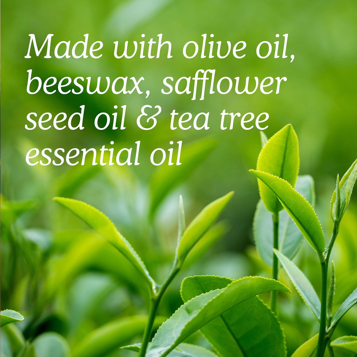 Balmonds Tea Tree Balm - Natural, Traditional All-Purpose Ointment